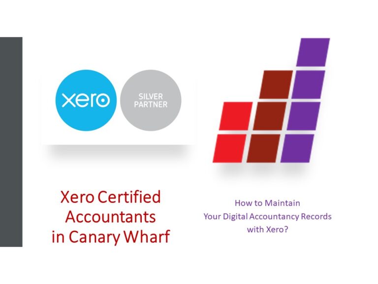Xero Certified Accountants in Canary Wharf | The Stan Lee